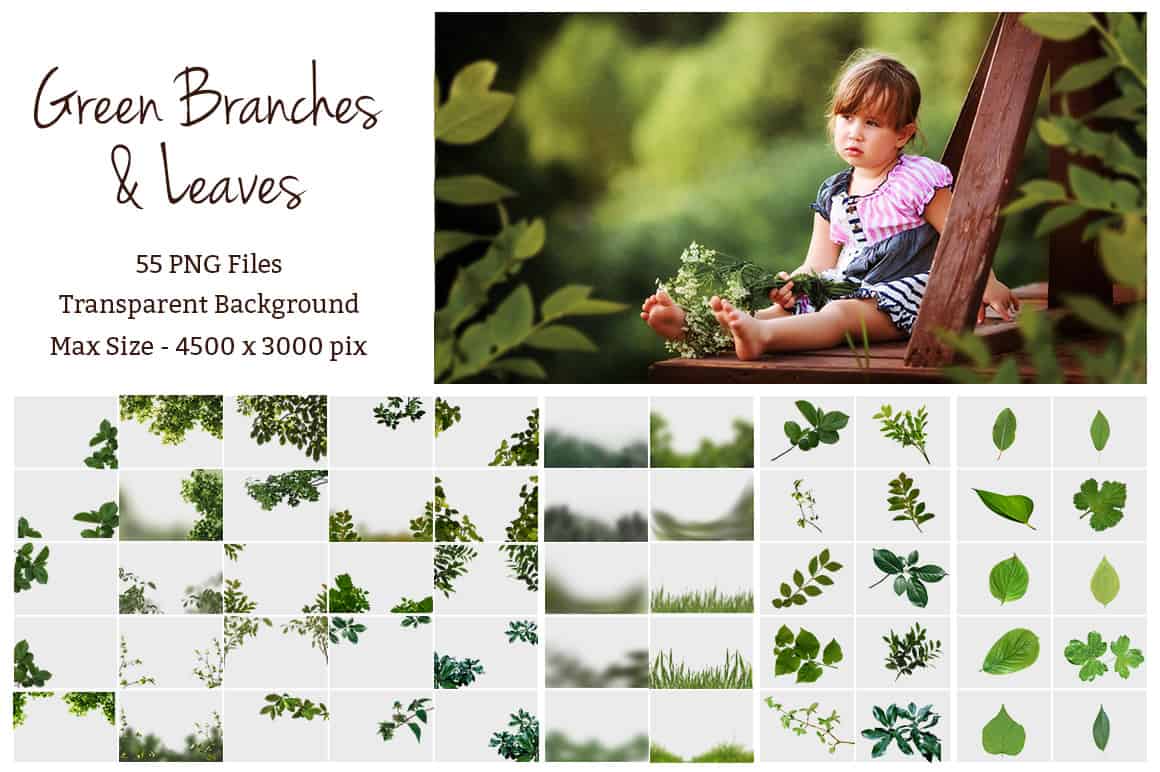 Green Branches and Leaves Overlays - Mist Studio - Junk Journal ...